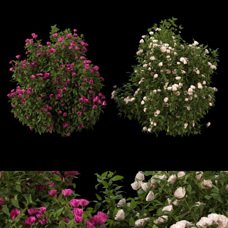 Collection flowering bush vol 4 (319874) 3D model - Download 3D model ...