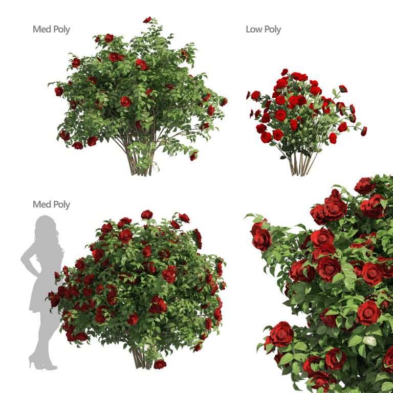 3 Red Rose Flower Bush Low Poly (320272) 3D model - Download 3D model 3 ...