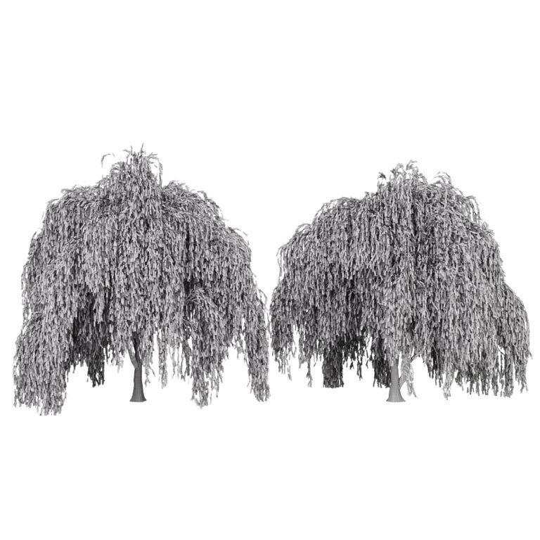 Collection willow trees vol 7 (320779) 3D model - Download 3D model ...