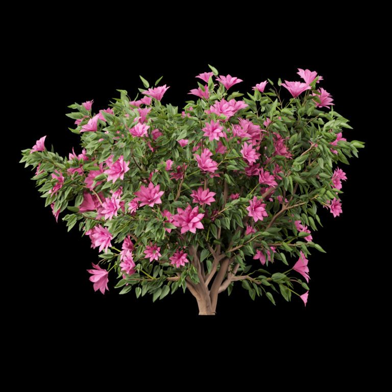 Collection flowering bush vol 8 (320782) 3D model - Download 3D model ...