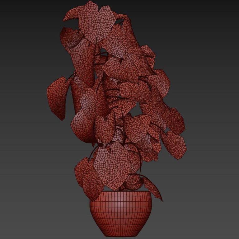 Monastra plant v01 (320892) 3D model - Download 3D model Monastra plant ...