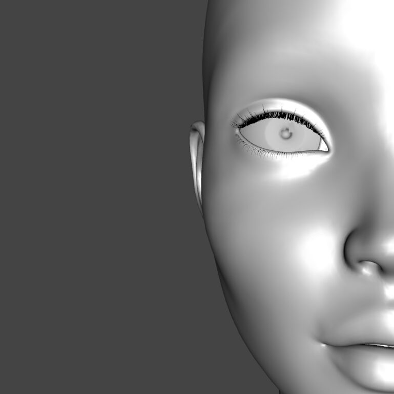 Complete Human Anatomy 3d Models Download 3d Models 3d Baza