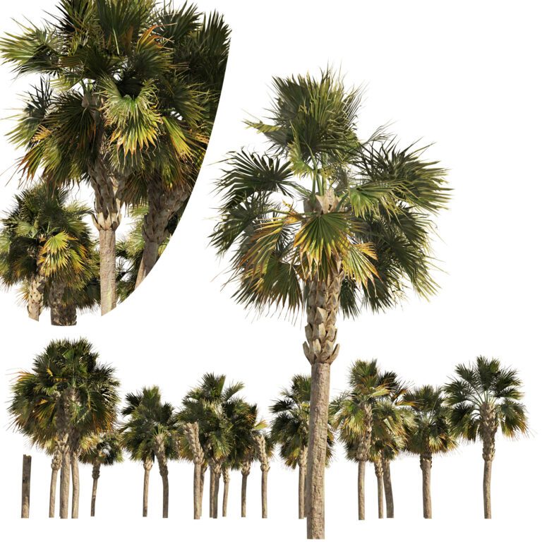 Low poly palmetto trees (329705) 3D model - Download 3D model Low poly ...