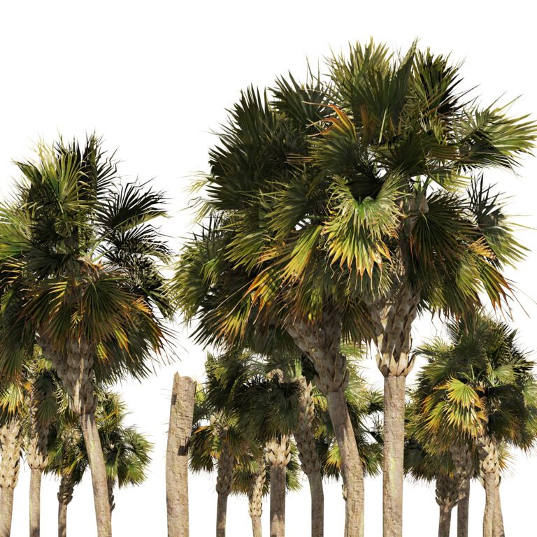 Low poly palmetto trees (329705) 3D model - Download 3D model Low poly ...