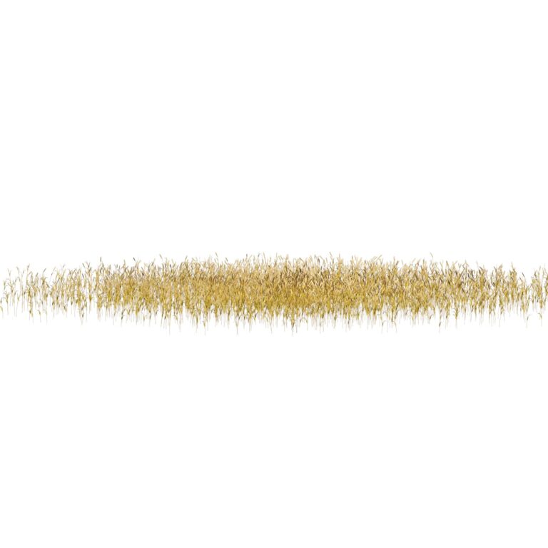 Golden wheat field (329859) 3D model - Download 3D model Golden wheat ...