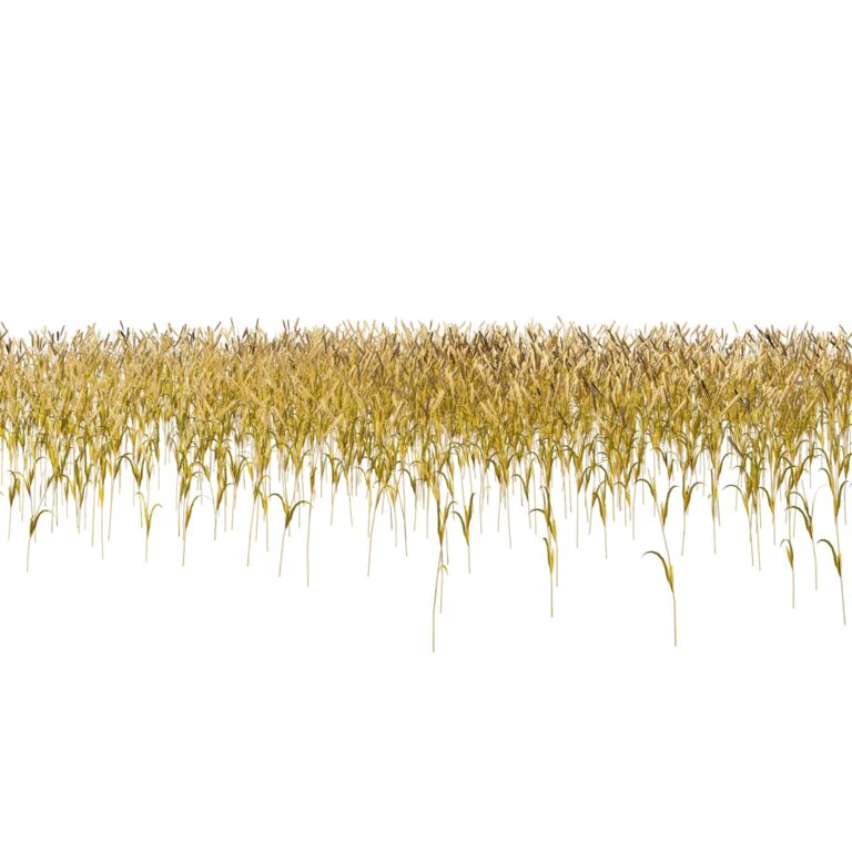 Golden wheat field (329859) 3D model - Download 3D model Golden wheat ...