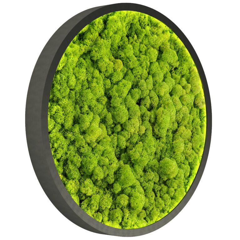 Moss Wall 01 (330677) 3D model - Download 3D model Moss Wall 01 (330677 ...