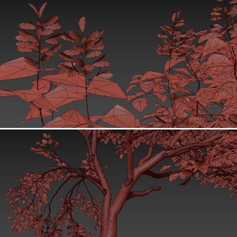 Set of Catalpa Ovata Tree (Chinese Catalpa) (2 Trees) (330849) 3D model ...