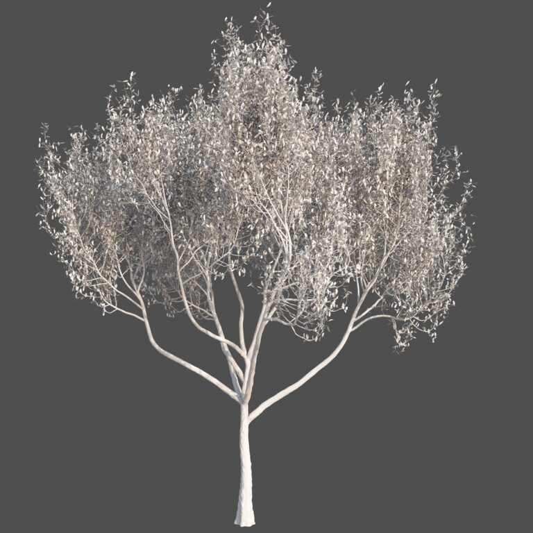 Tree 01 (331015) 3D model - Download 3D model Tree 01 (331015) | 331015 ...