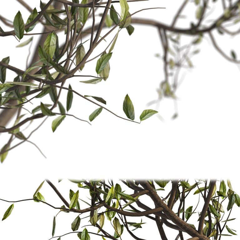 Tree 01 (331015) 3D model - Download 3D model Tree 01 (331015) | 331015 ...