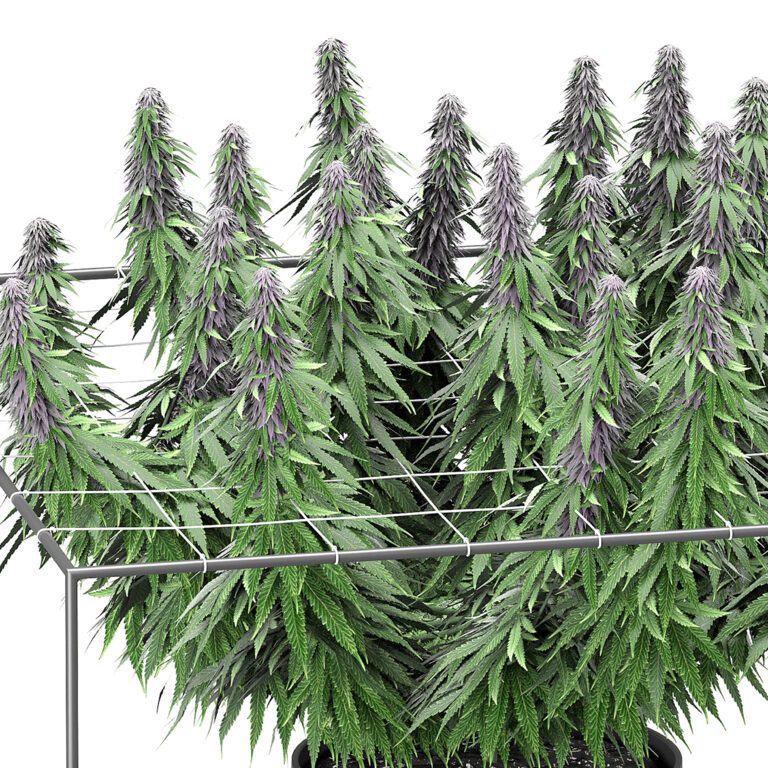 FLOWERS 252 WEED (332413) 3D model - Download 3D model FLOWERS 252 WEED ...