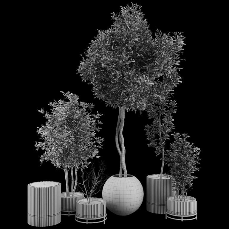 Plant Collection Set 03 (332897) 3D model - Download 3D model Plant ...