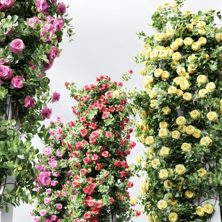 Climbing Roses Cube Columns Flower (333229) 3D model - Download 3D ...
