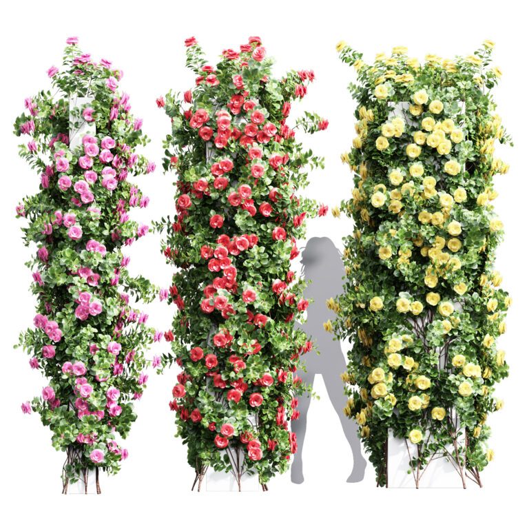 Climbing Roses Cube Columns Flower (333229) 3D model - Download 3D ...