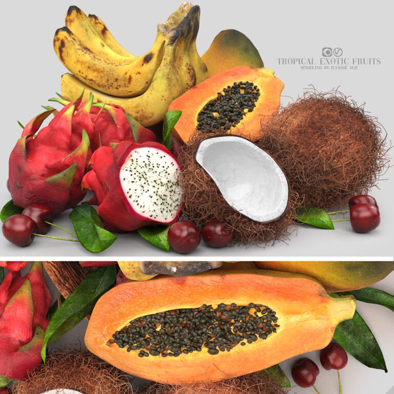 Exotic tropical fruits (333821) 3D model - Download 3D model Exotic ...