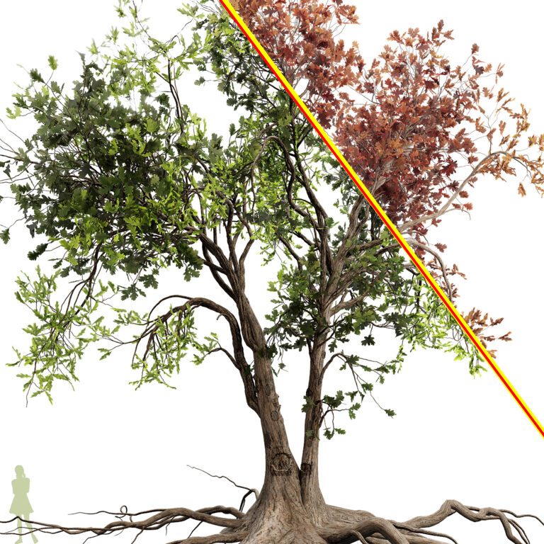 Tree 001 (334252) 3D model - Download 3D model Tree 001 (334252 ...