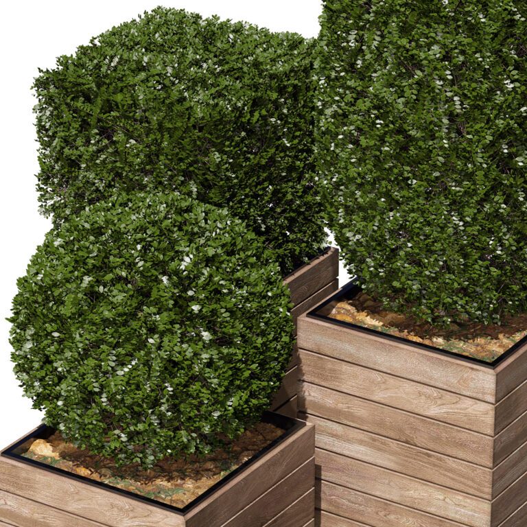Shape bush plant (334935) 3D model - Download 3D model Shape bush plant ...
