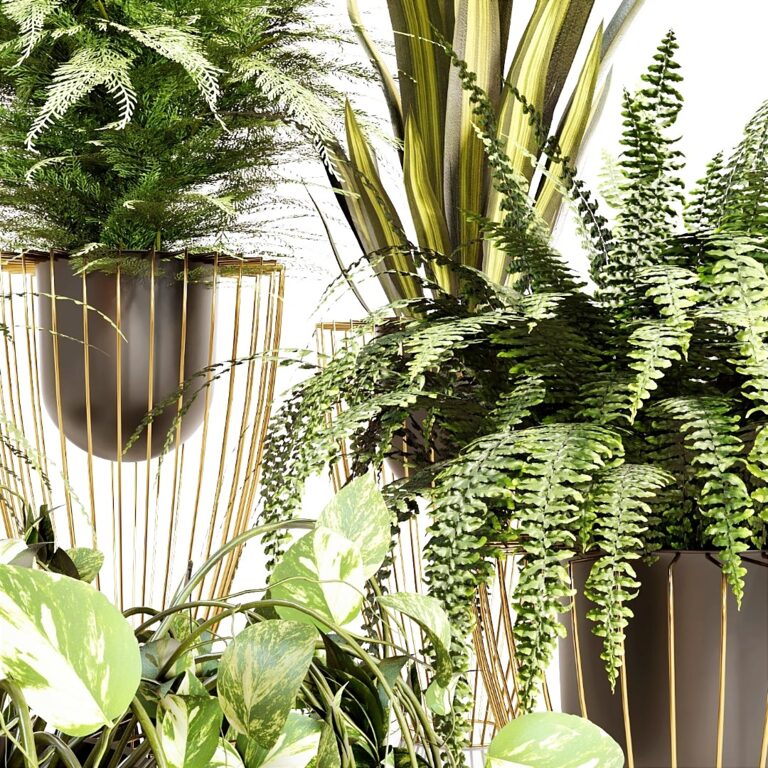 Indoor Plants Set Vol 03 (336122) 3D model - Download 3D model Indoor ...