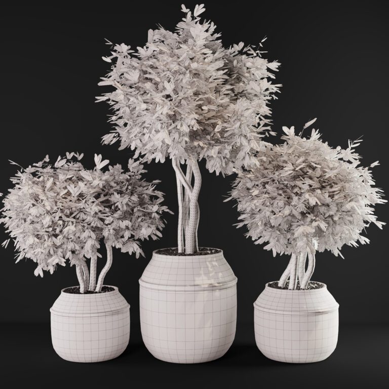 Plant Collection 01 (336501) 3D model - Download 3D model Plant ...