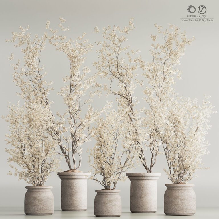 Indoor Plant Set 81 Dry Plants (338046) 3D model - Download 3D model ...