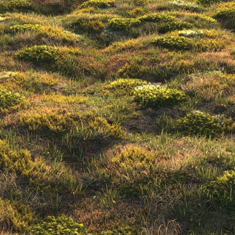 Forest grass (338206) 3D model - Download 3D model Forest grass (338206 ...