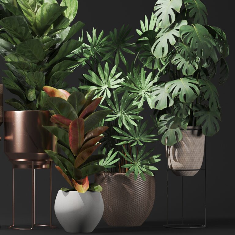 Plant collection 02 (342161) 3D model - Download 3D model Plant ...