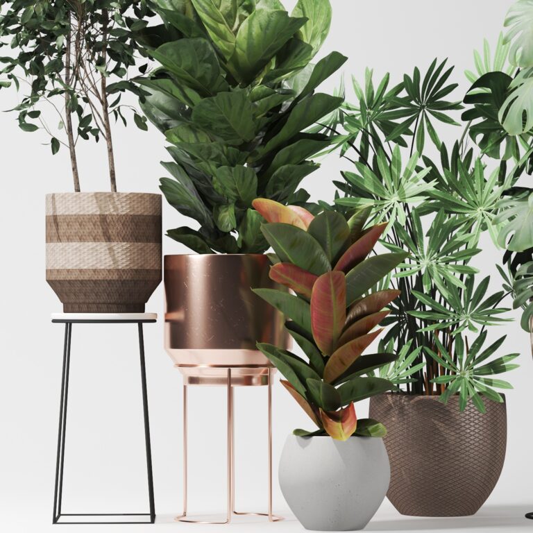Plant collection 02 (342161) 3D model - Download 3D model Plant ...