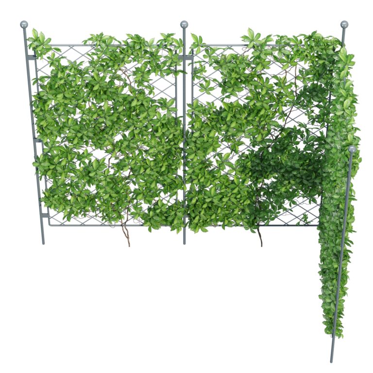 Harrod one growing frame (343703) 3D model - Download 3D model Harrod ...