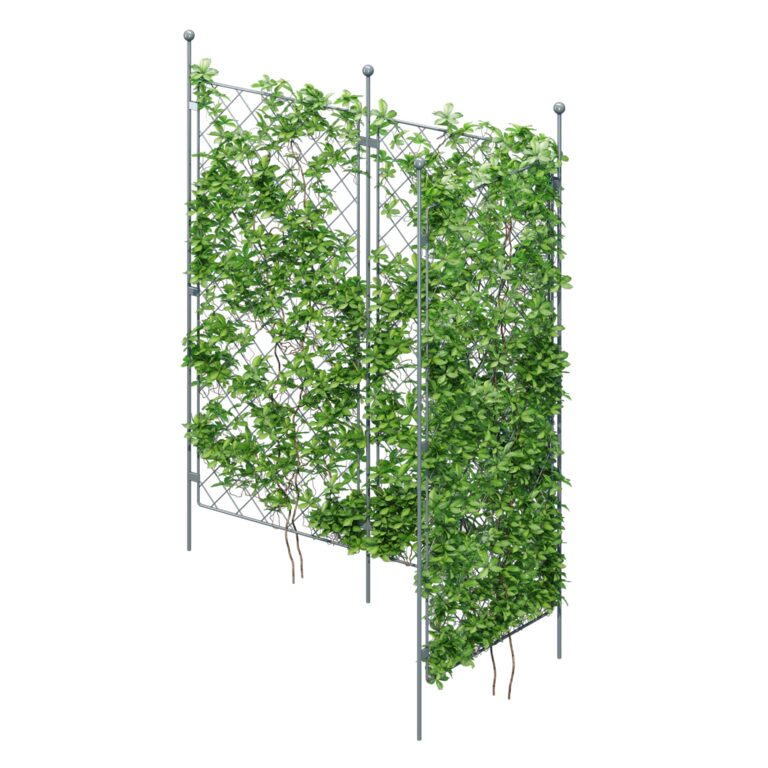 Harrod one growing frame (343703) 3D model - Download 3D model Harrod ...