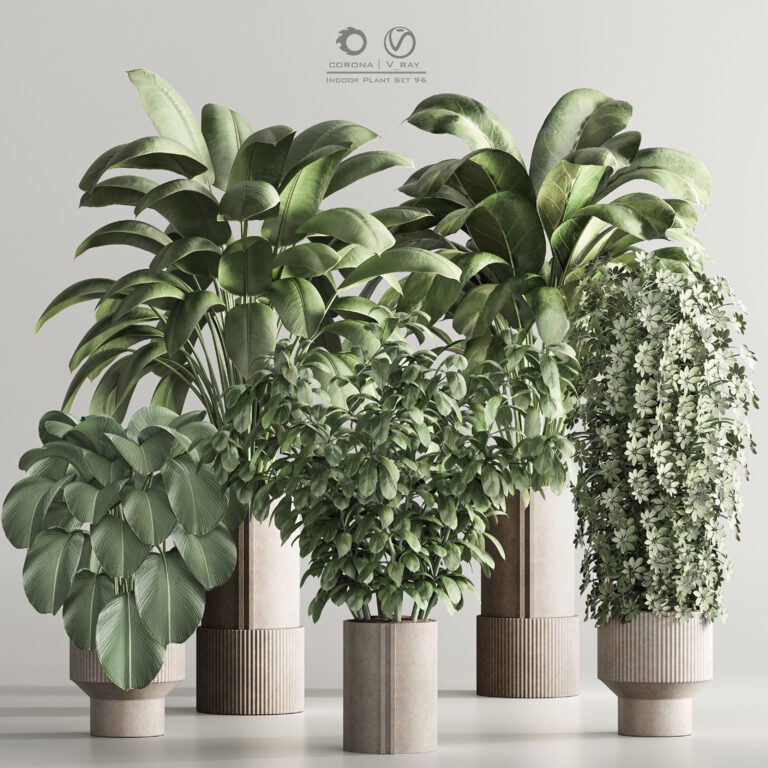 Indoor Plant Set 96 (343761) 3D model - Download 3D model Indoor Plant ...