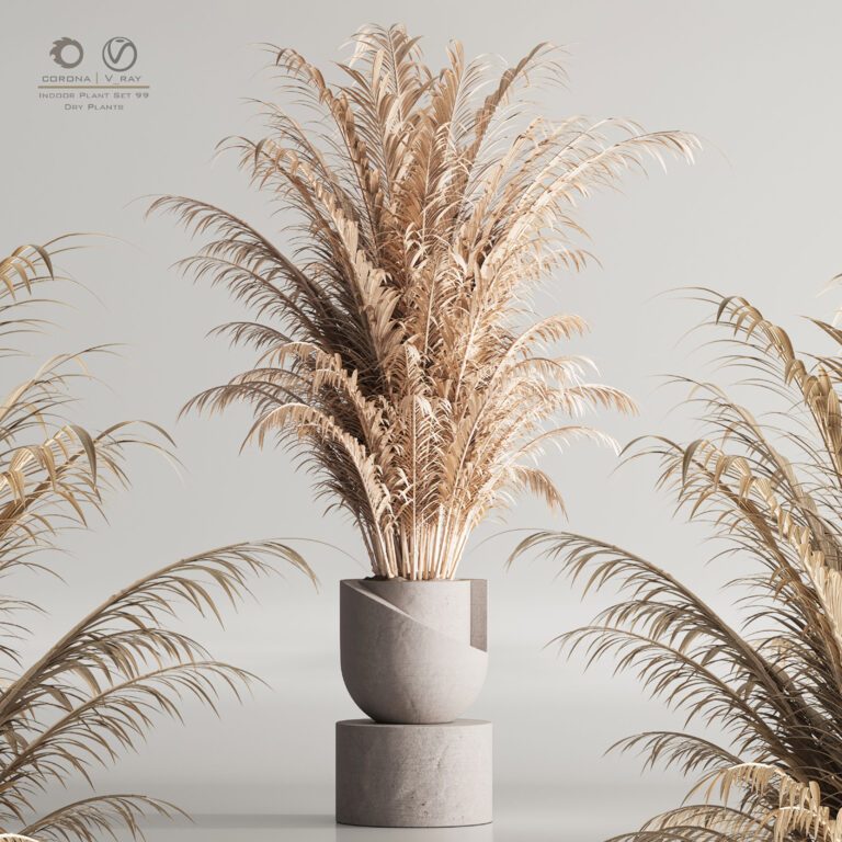 Indoor Plant Set 99 Dry Plants (344727) 3D model - Download 3D model ...