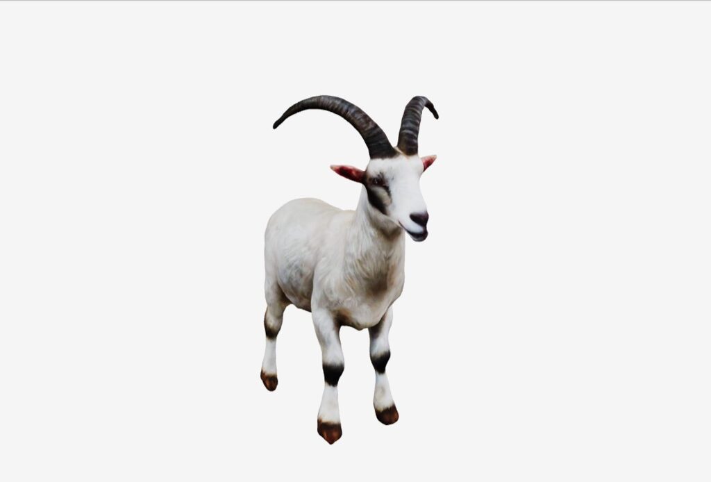 Goat (346758) 3D model - Download 3D model Goat (346758) | 346758 | 3d ...
