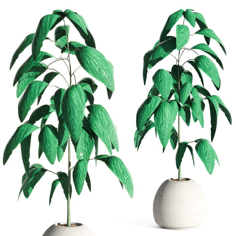 Plant Basil (348400) 3D model - Download 3D model Plant Basil (348400 ...