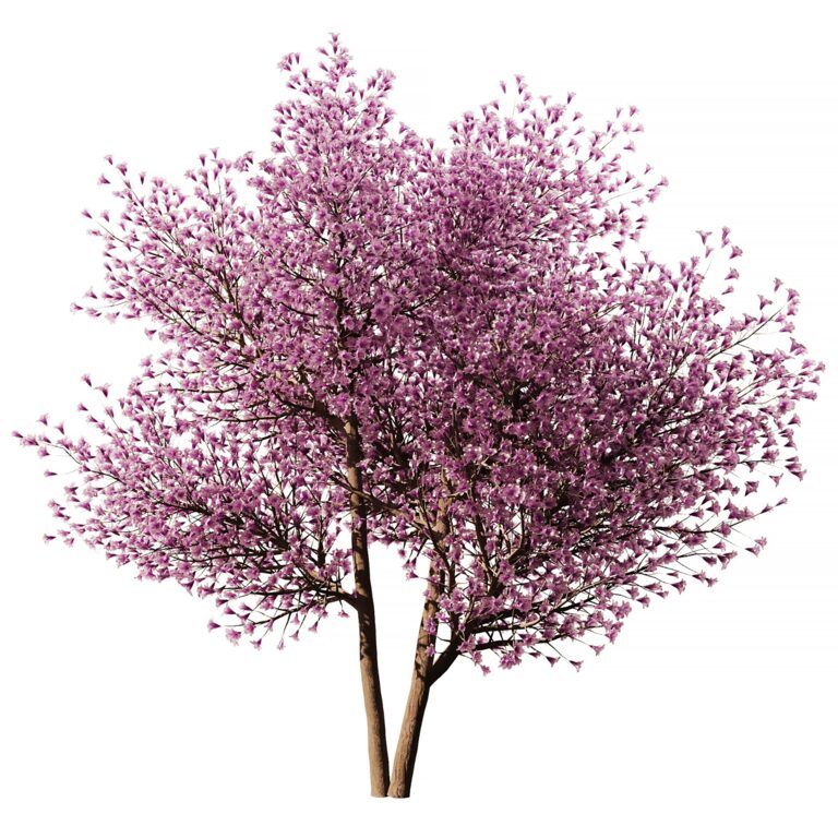 Spring Tree Set V1 (349599) 3D model - Download 3D model Spring Tree ...