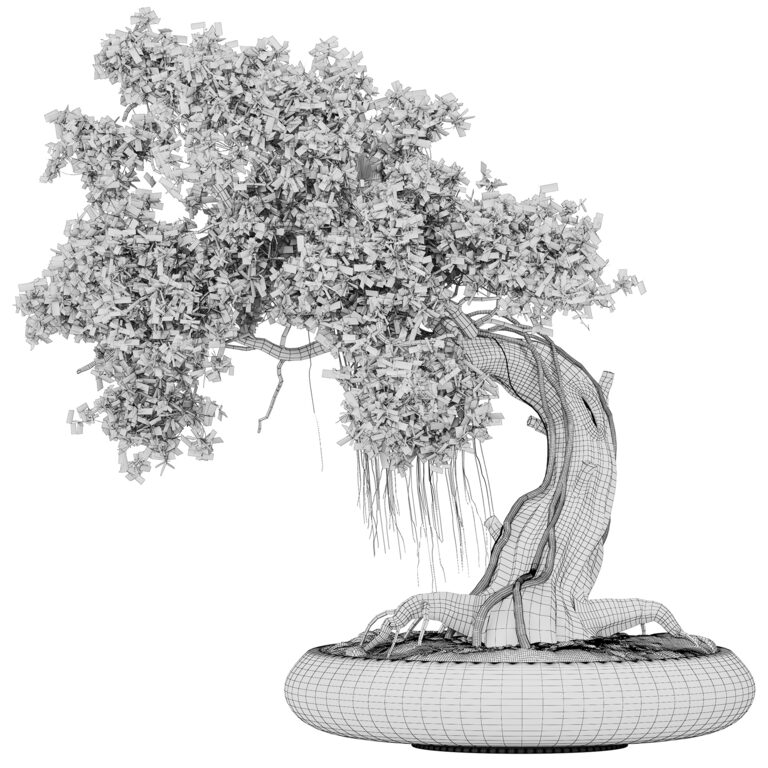 Bonsai 06 (350091) 3D model - Download 3D model Bonsai 06 (350091 ...