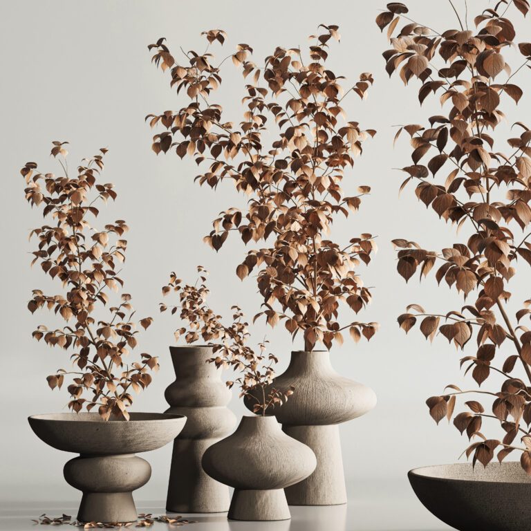 Indoor Dry Plants Set 104 (350199) 3D model - Download 3D model Indoor ...