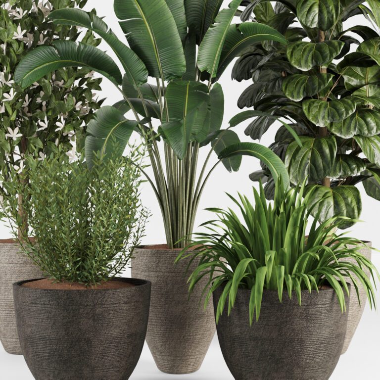 Plant Set 009 (350975) 3D model - Download 3D model Plant Set 009 ...