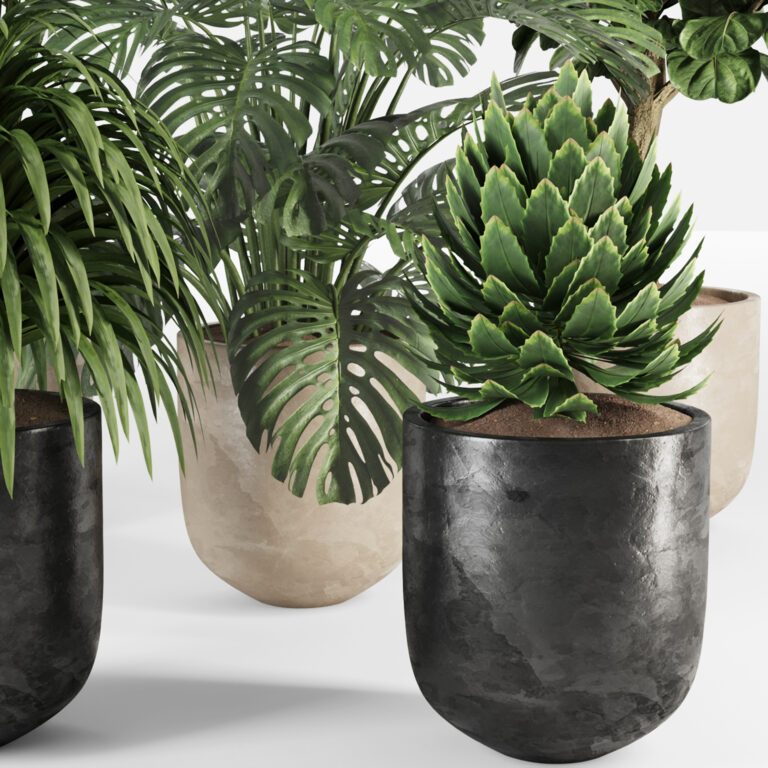 Plant Collection 010 (350976) 3D model - Download 3D model Plant ...