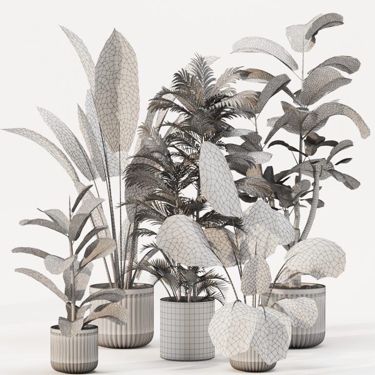 Indoor Plant Set 01 (351665) 3D model - Download 3D model Indoor Plant ...