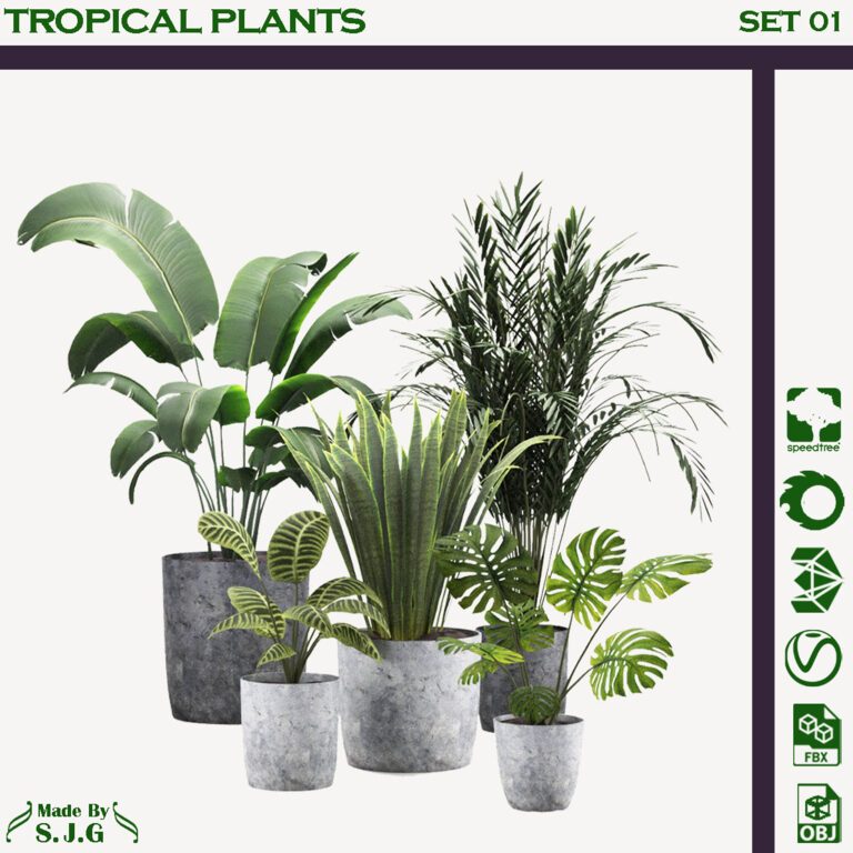 Indoor plants collection of tropical plants set 01 (353896) 3D model ...