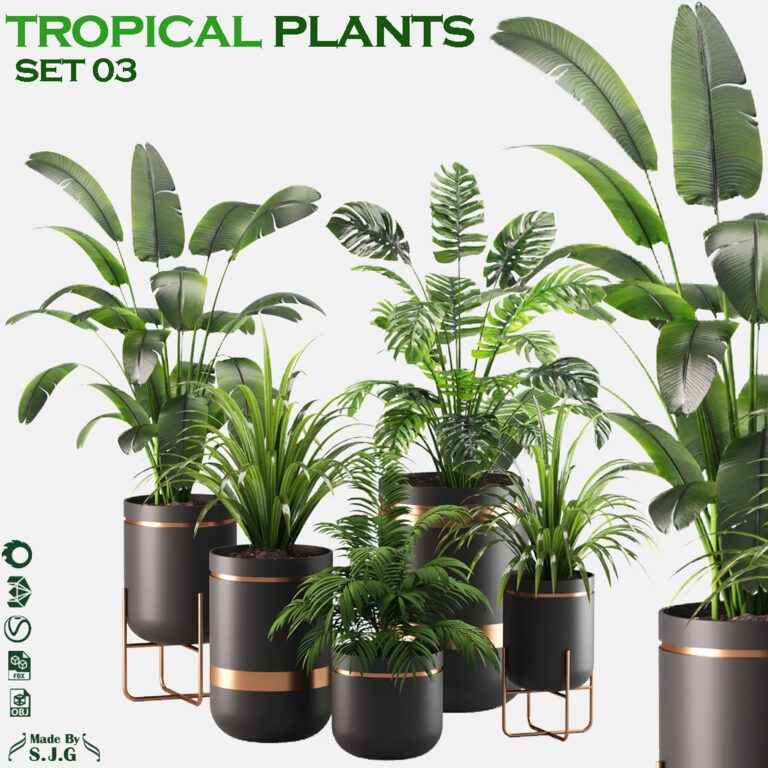 Indoor plants collection of tropical plants set 03 (353897) 3D model ...