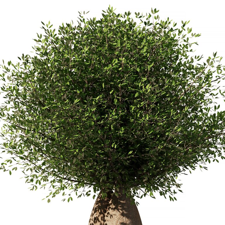 Summer Tunk Tree V1 (354154) 3D model - Download 3D model Summer Tunk ...