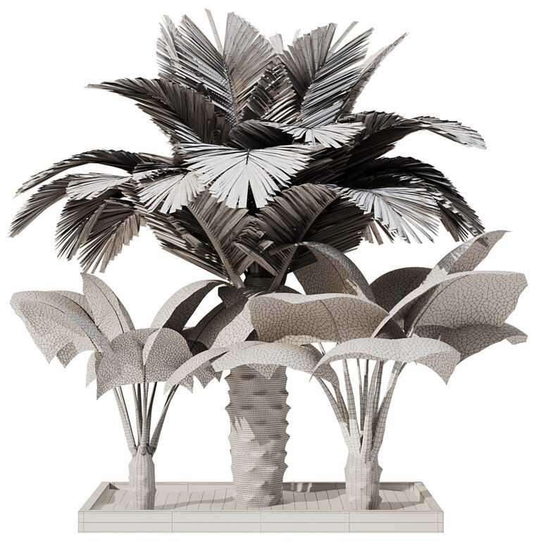 Palm Tree Set1 (354419) 3D model - Download 3D model Palm Tree Set1 ...