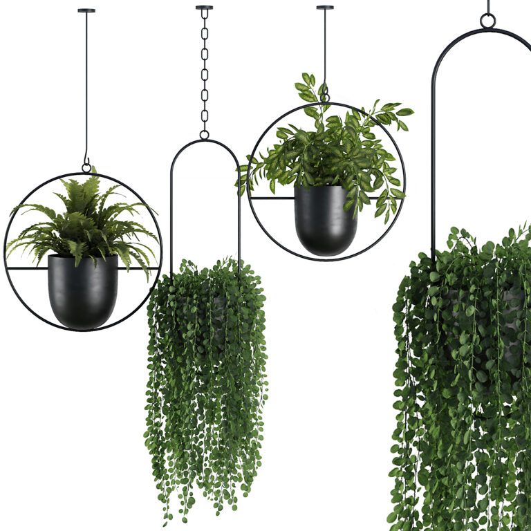 Hanging Indoor Plant - SetV1 (354989) 3D model - Download 3D model ...