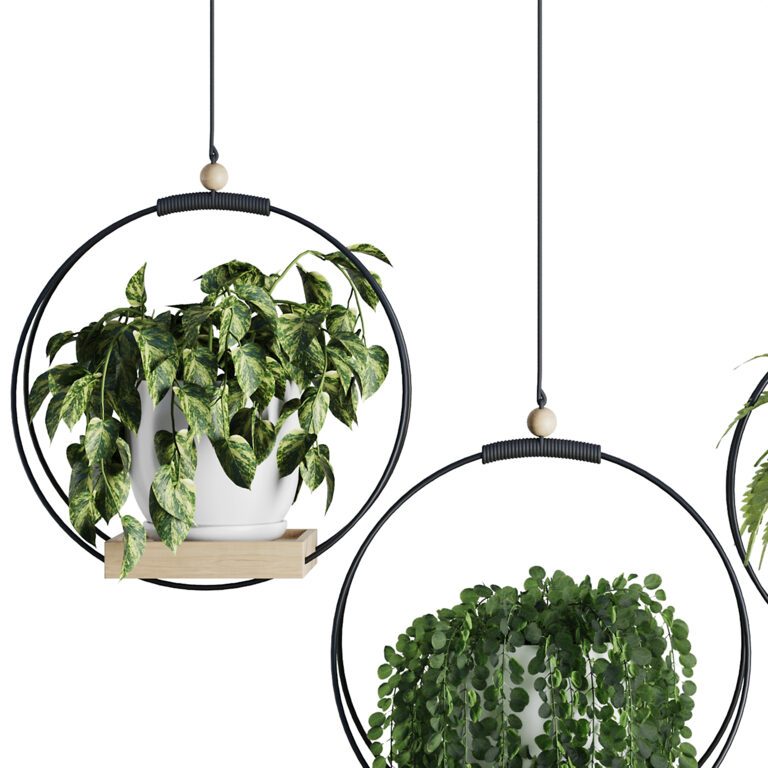 Hanging Indoor Plant - SetV2 (354992) 3D model - Download 3D model ...