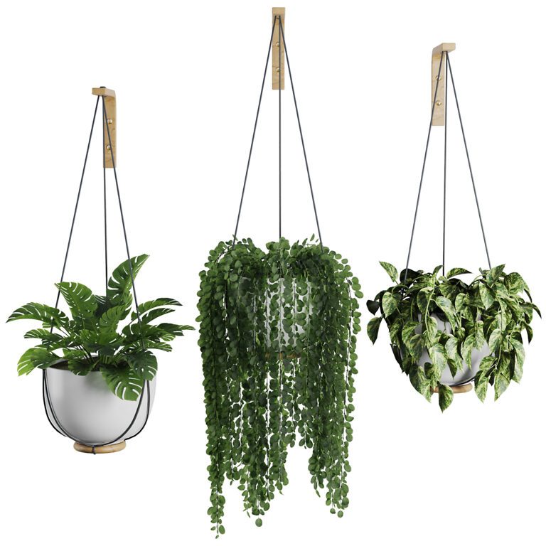 Hanging Indoor Plant - SetV3 (354994) 3D model - Download 3D model ...