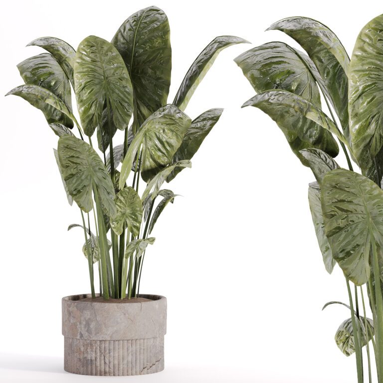 Indoor plants in pot 003 (355235) 3D model - Download 3D model Indoor ...