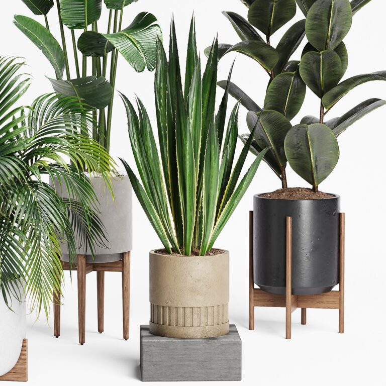 Indoor Plant Set 22 (355892) 3D model - Download 3D model Indoor Plant ...