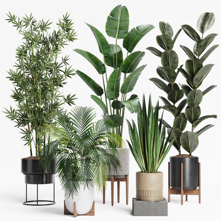 Indoor Plant Set 22 (355892) 3D model - Download 3D model Indoor Plant ...