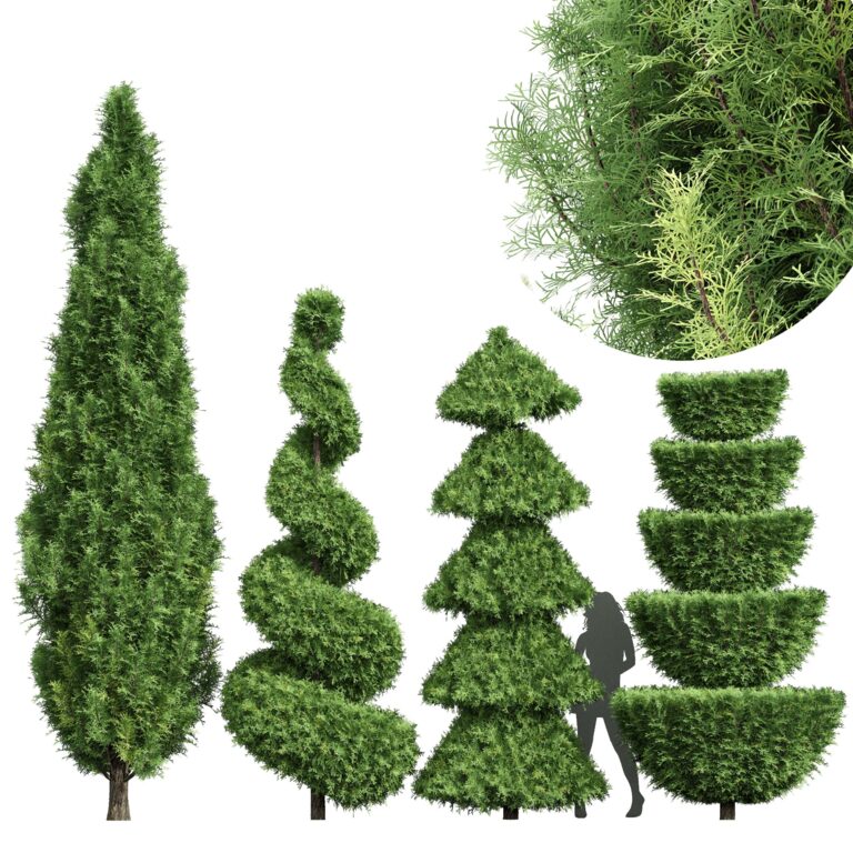Italian Cypress 4 trees (356305) 3D model - Download 3D model Italian ...